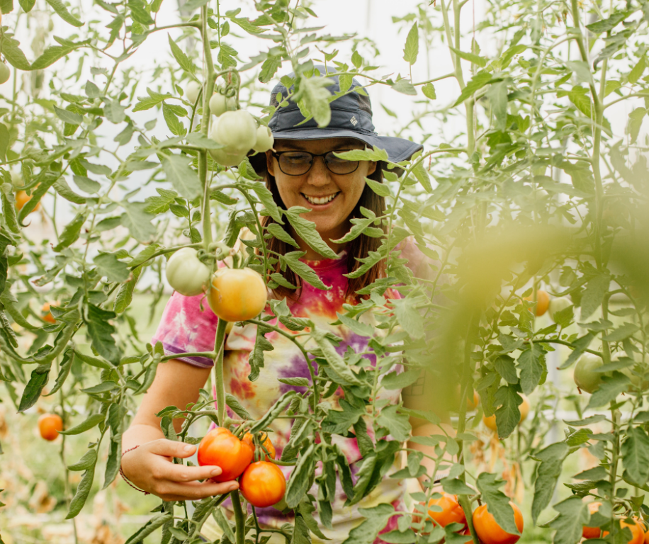 Growing Places Indy Launches a New Urban Farming Education Program ...